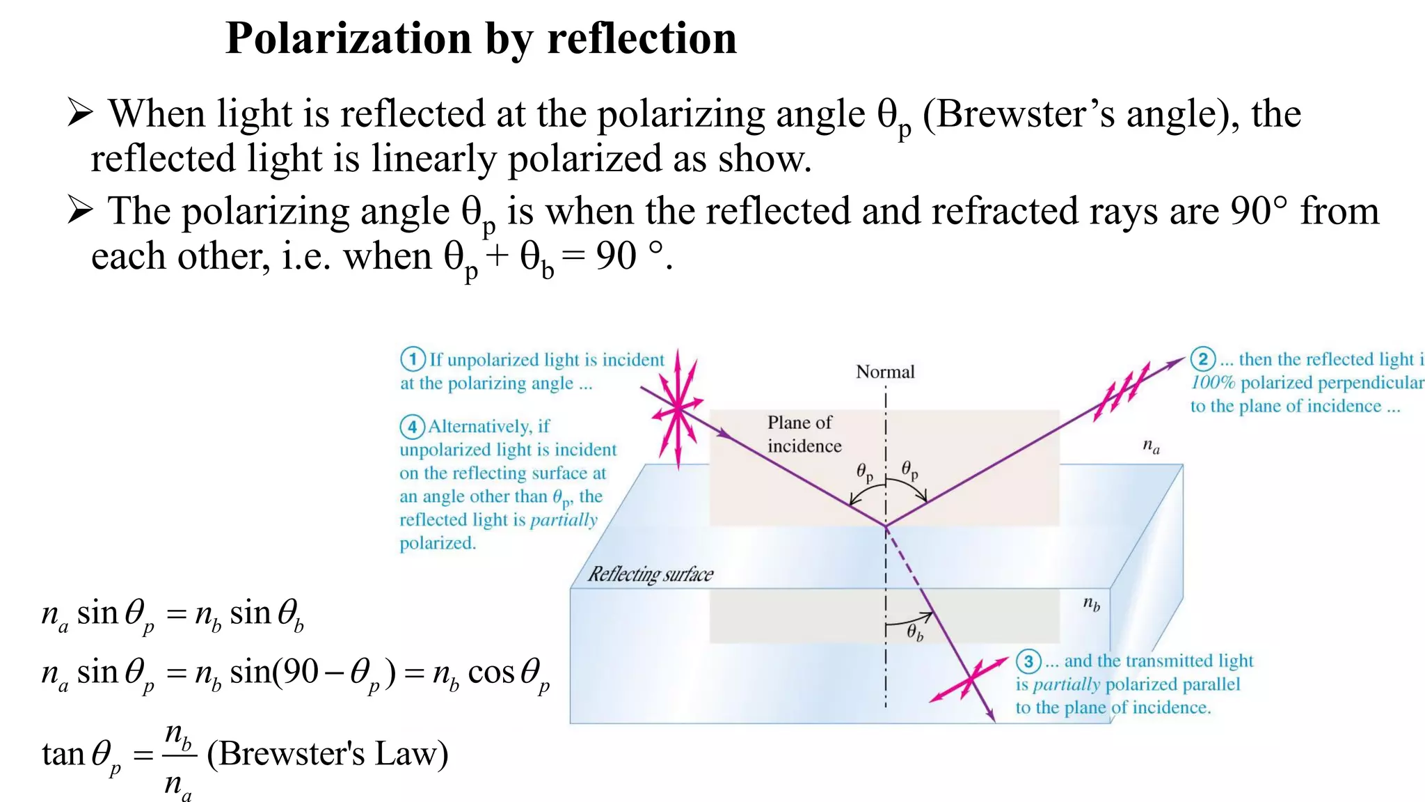 Polarization Of Light Class Note Pdf