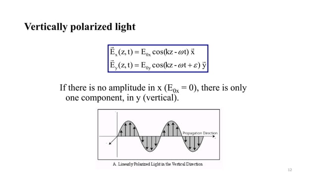 Polarization Of Light Class Note Pdf