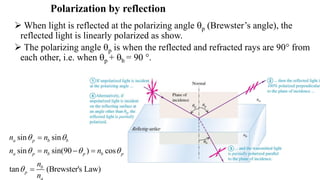 Polarization of light class note | PDF