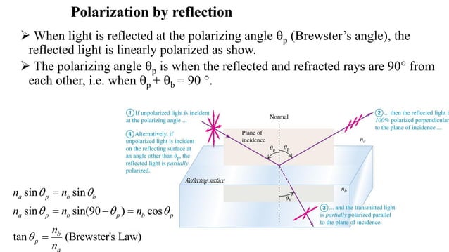 Polarization Of Light Class Note Pdf
