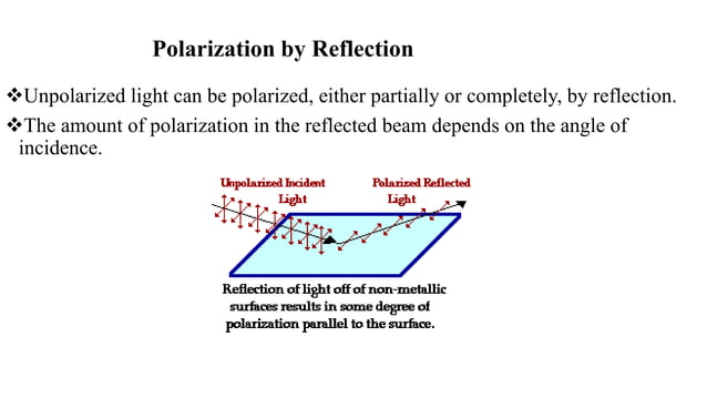 Polarization Of Light Class Note Pdf