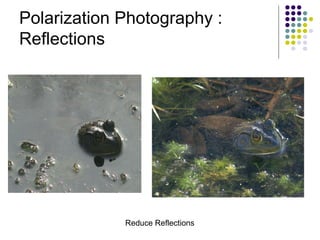Polarization photography | PPT