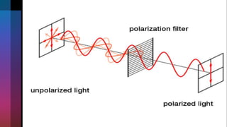 Polarization Rotation.pptx