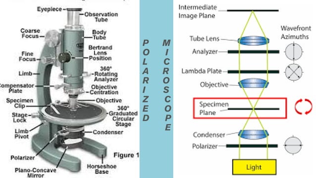 Polarized Microscopy . For anisotropic studies | PDF | Geology | Science