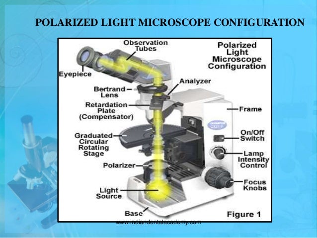 Polarized microscopy seminar/prosthodontic courses
