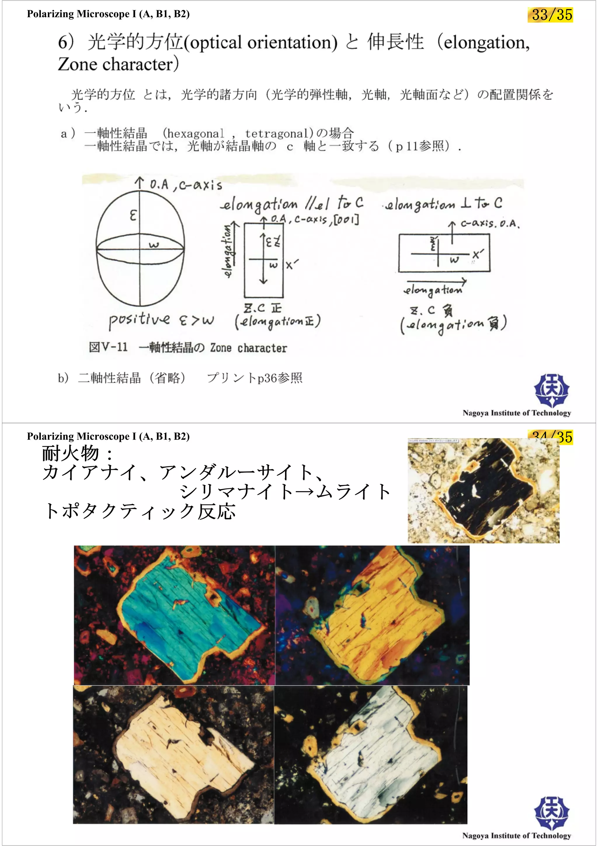 Polarizing microscope i (a, b1, b2) b3 | PDF