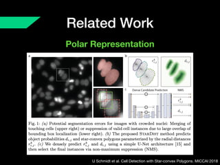 Review : PolarMask: Single Shot Instance Segmentation with Polar Representation [CDM] | PPT