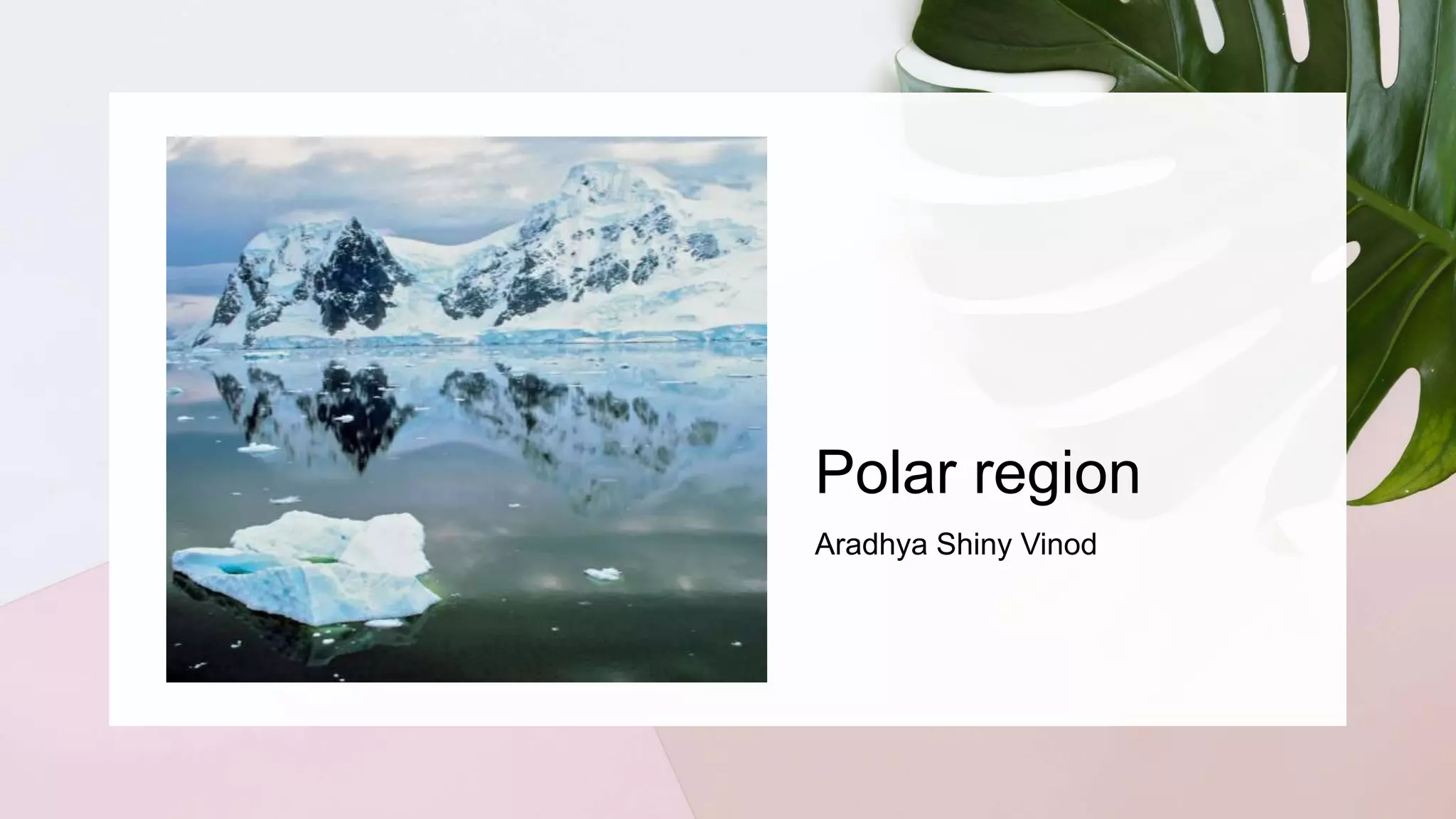 Polar region.pptx