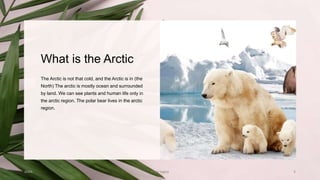 Polar region.pptx
