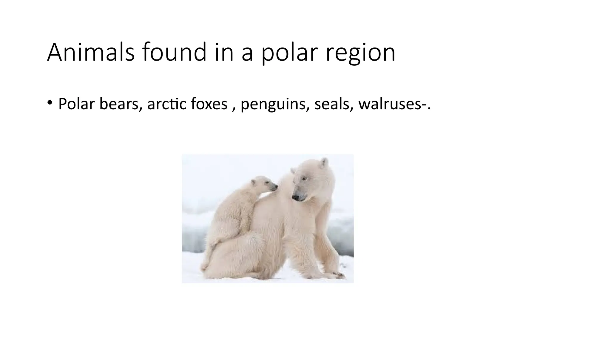 introduction to Polar region climate.pptx