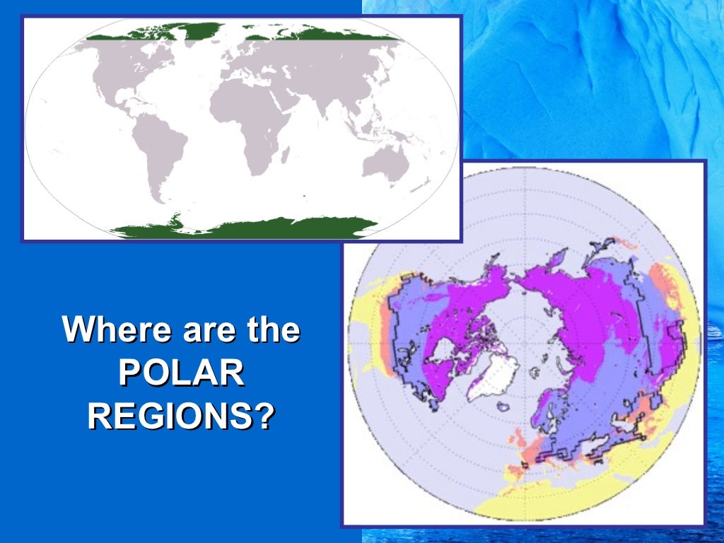 Polar region Notes on various Polar ecosystems including Arctic, Ant…