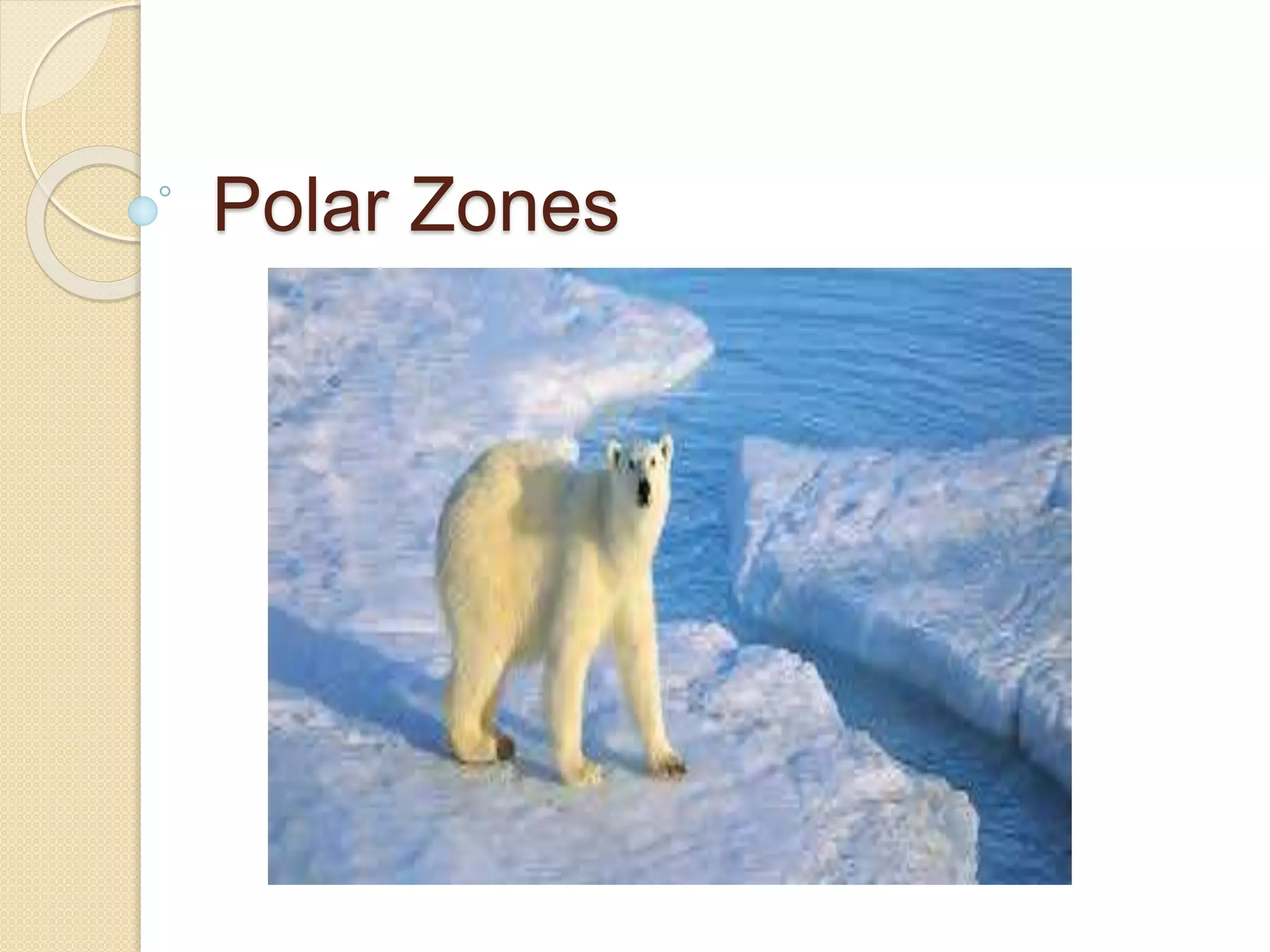 Polar zones | PPTX