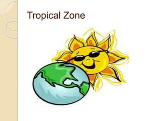 Polar zones | PPTX