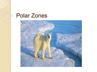 Polar zones | PPTX