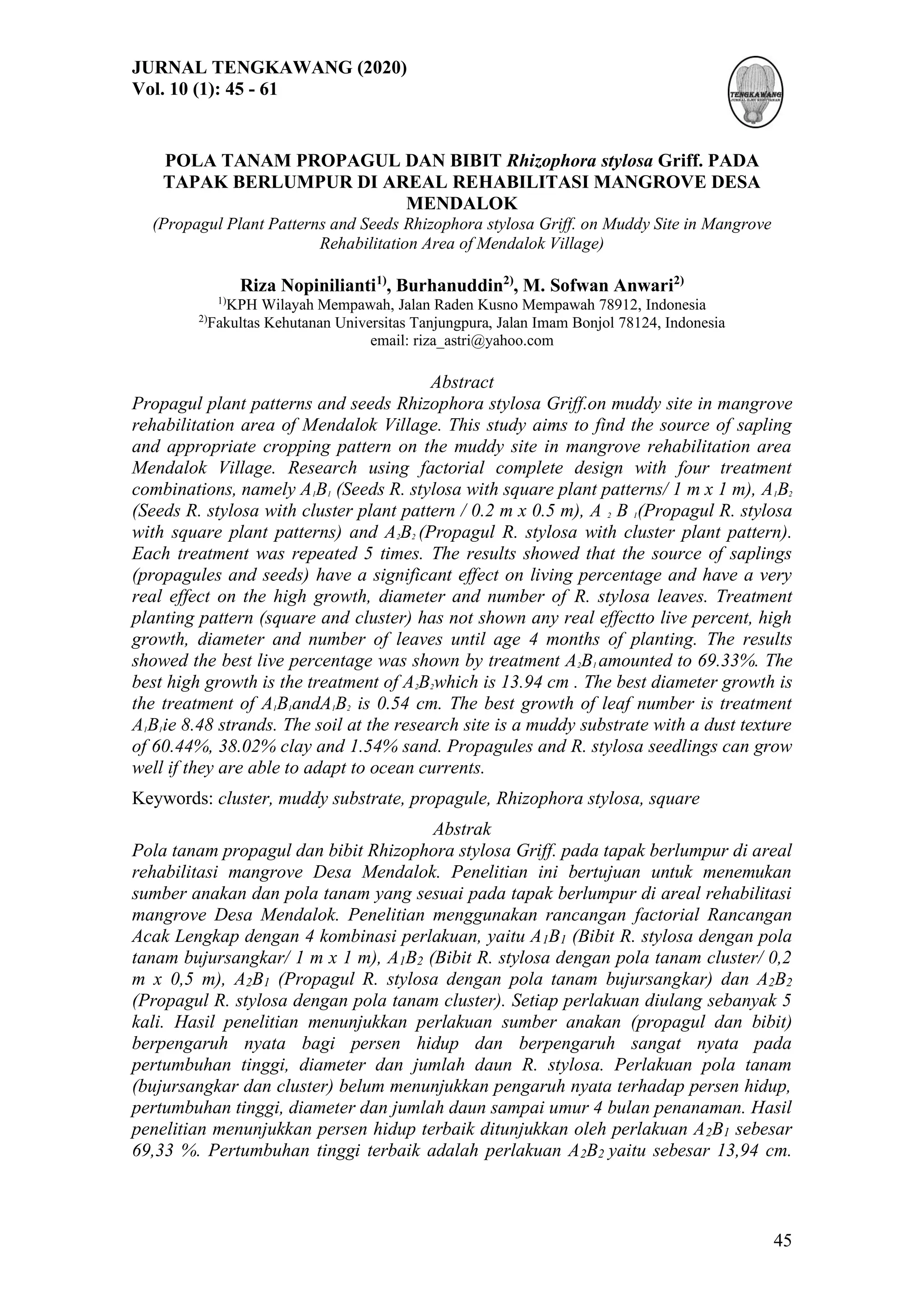 POLA TANAM PROPAGUL DAN BIBIT Rhizophora stylosa Griff..pdf