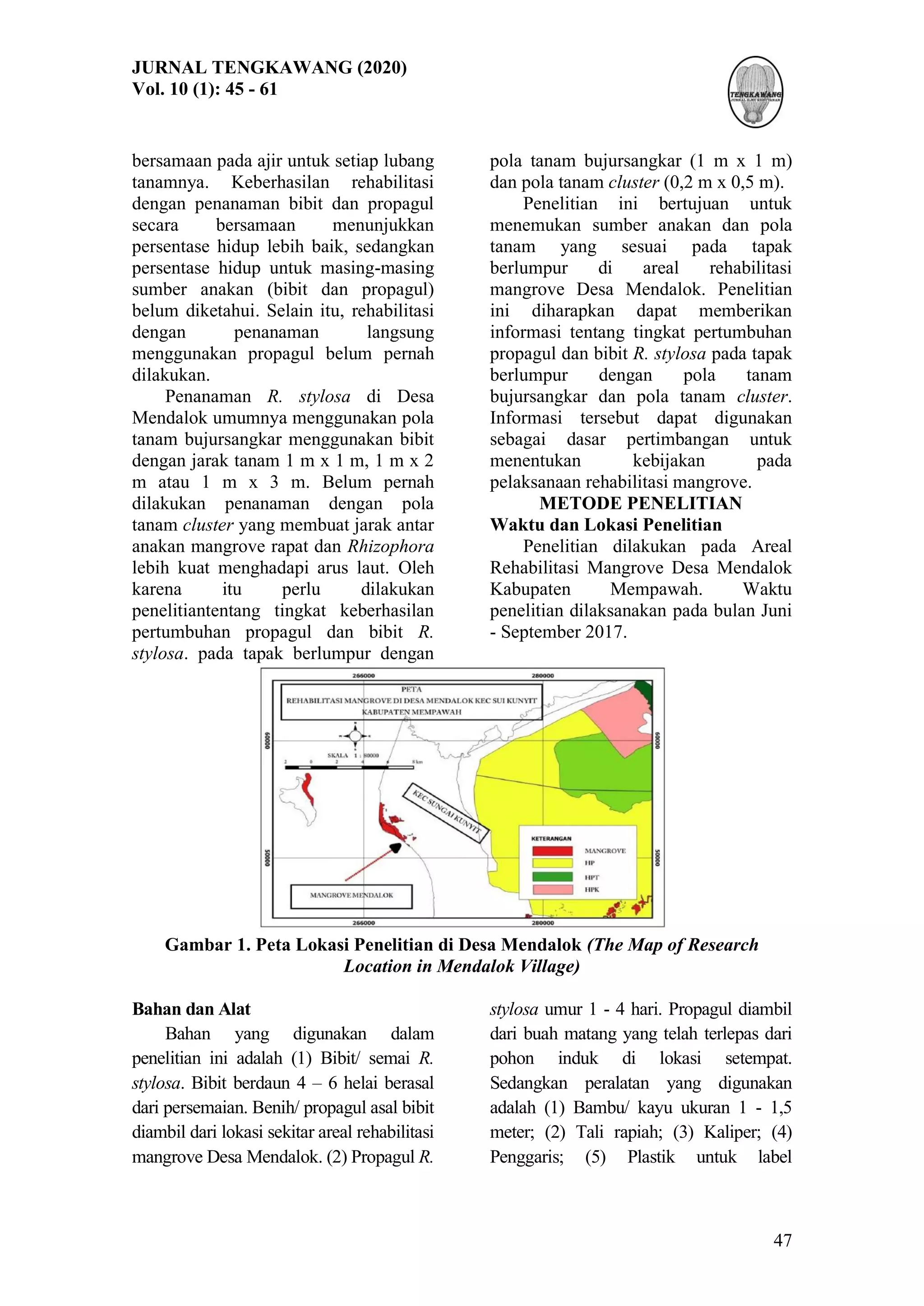 POLA TANAM PROPAGUL DAN BIBIT Rhizophora stylosa Griff..pdf