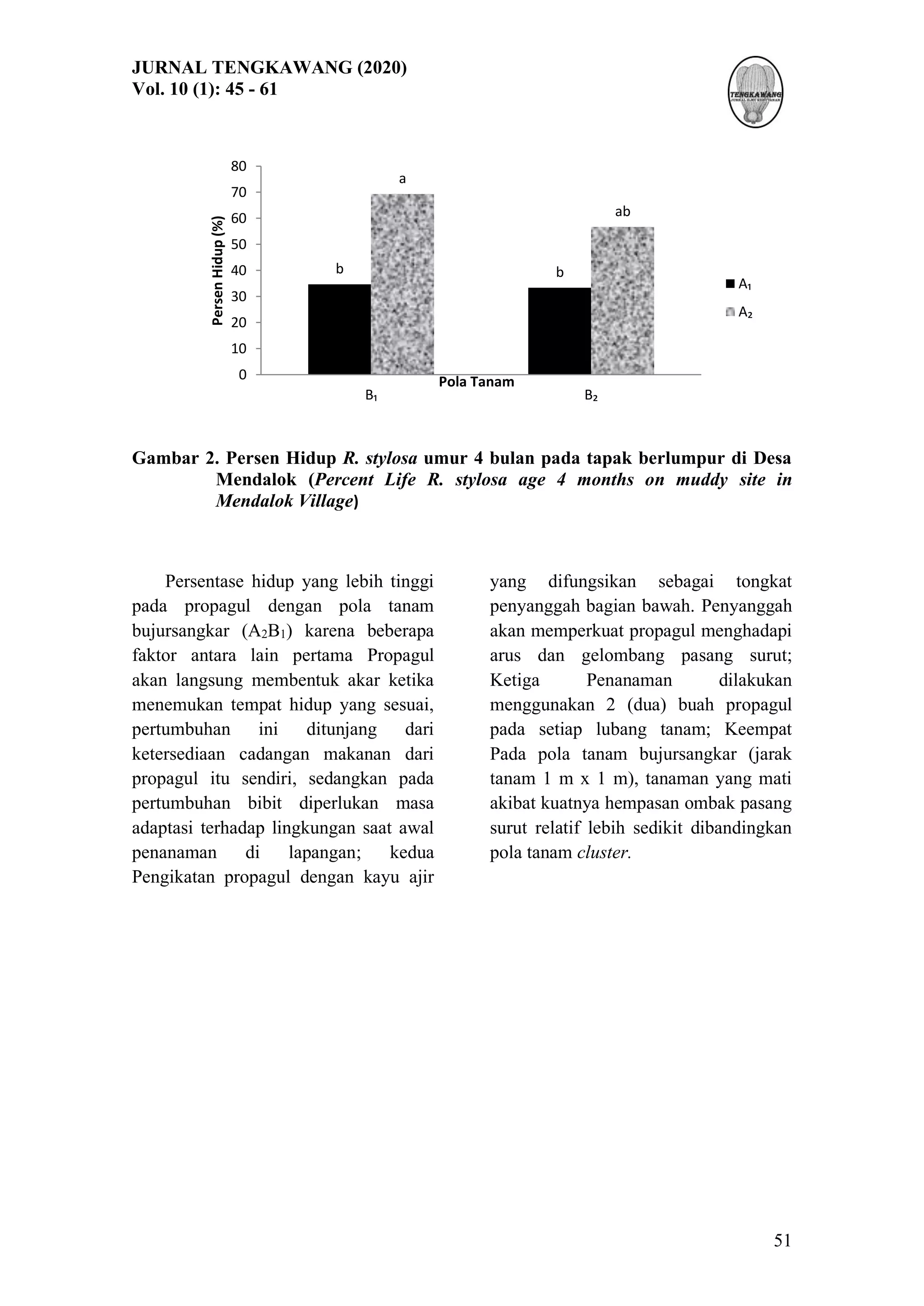 POLA TANAM PROPAGUL DAN BIBIT Rhizophora stylosa Griff..pdf