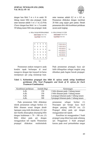POLA TANAM PROPAGUL DAN BIBIT Rhizophora stylosa Griff..pdf