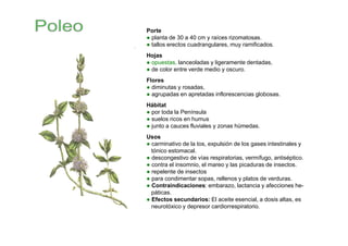 Poleo | PDF