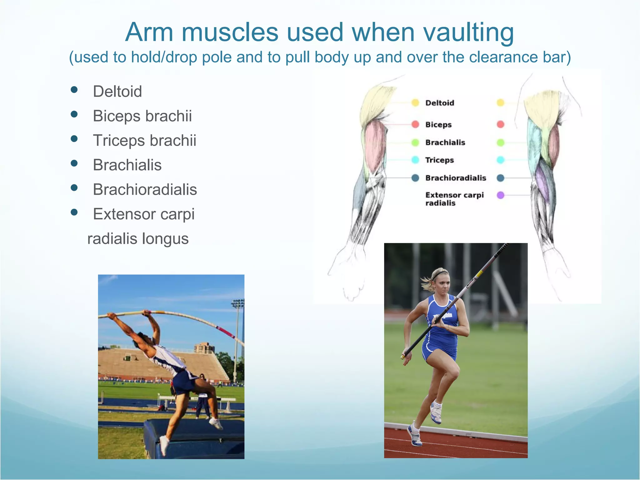 Polevaultingdraft | PPT
