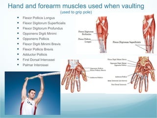 Polevaultingdraft | PPT