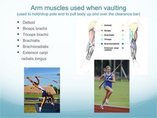 Polevaultingdraft | PPT