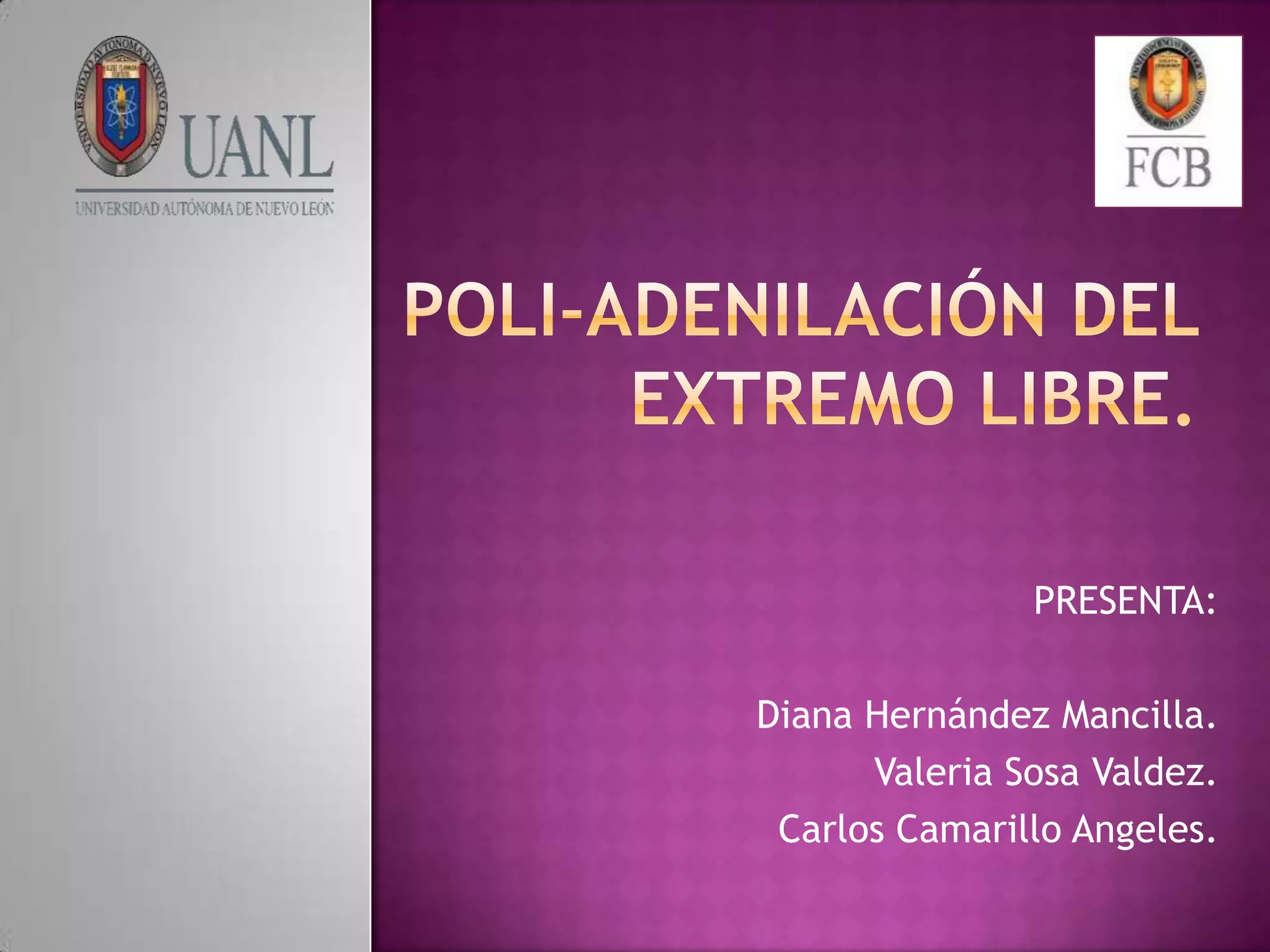 Poli-adenilacion del extremo libre | PPTX