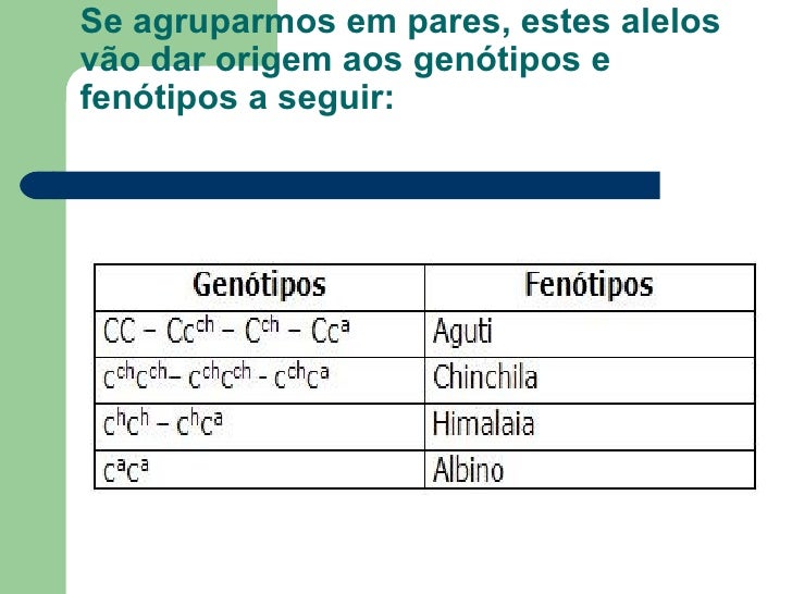 Polialelia alelos multiplos - pelagem de coelhos