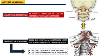 POLIGONO DE WILLIS | PPTX