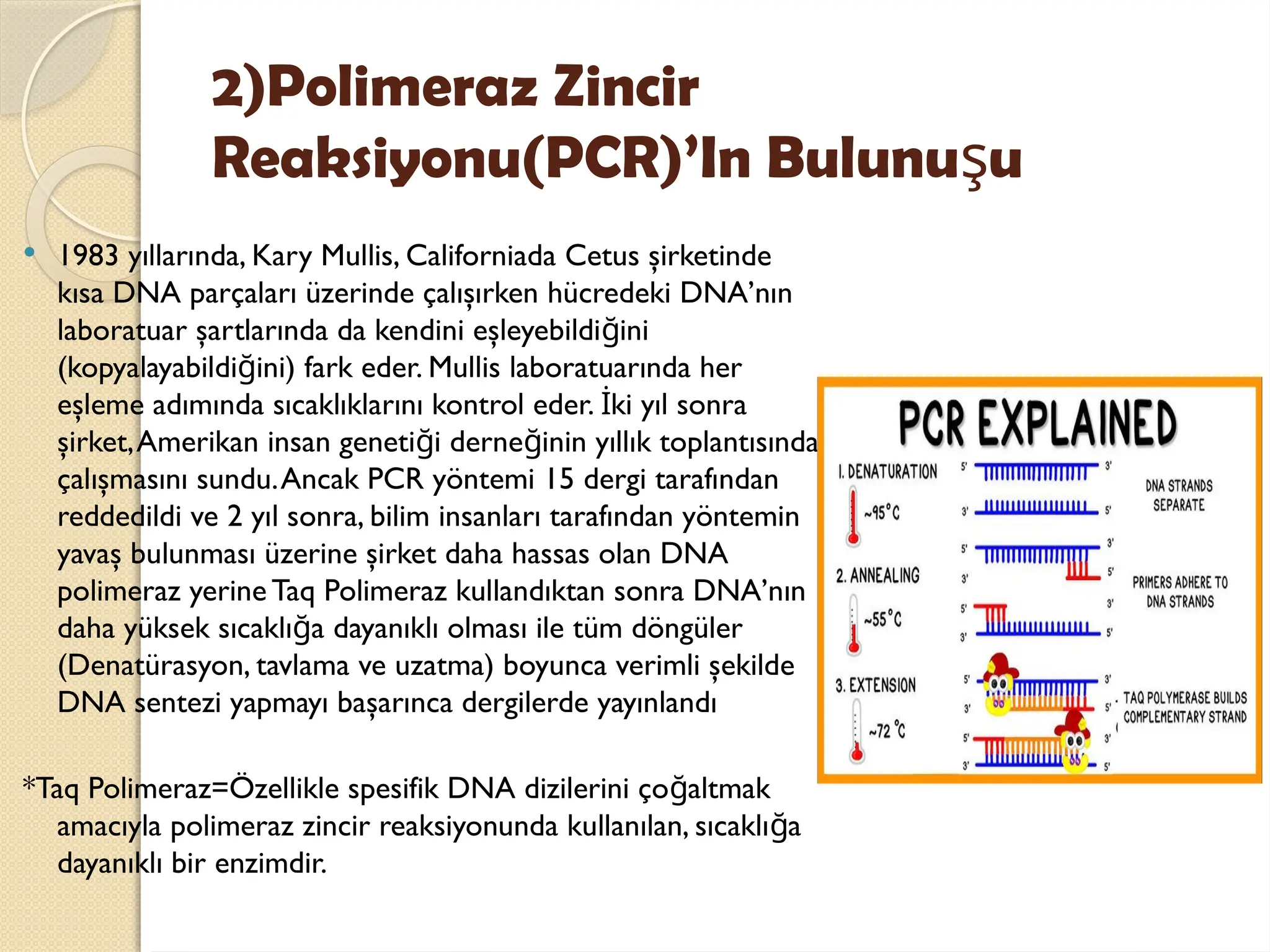 Polimeraz Zincir Reaksiyonu(PCR) Biyoloji Powerpoint Sunumu.pptx