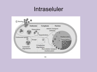 polimer farmasi Bab 12.pptx