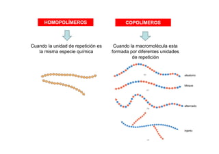 Polimeros estructura 2014 | PDF