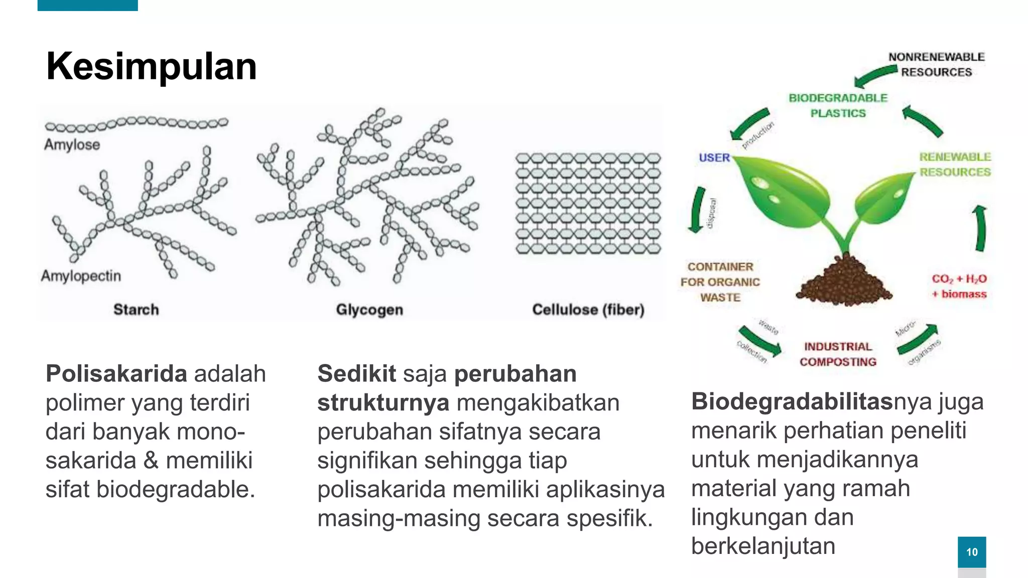 Polisakarida : Pati sebagai Polimer Alami | PPTX