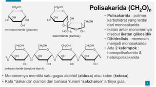 Polisakarida : Pati sebagai Polimer Alami | PPT