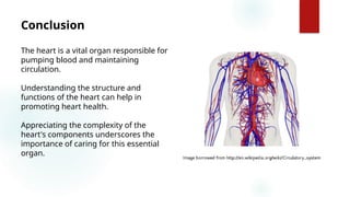POLINA(ENGLISH)_Heart Structure, Functions. What Are Arteries,veins ...
