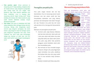 Leaflet Polio | DOCX