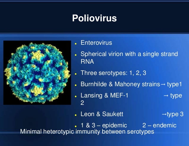 Poliovirus Type 2