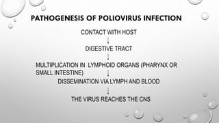 Polio revision notes | PDF