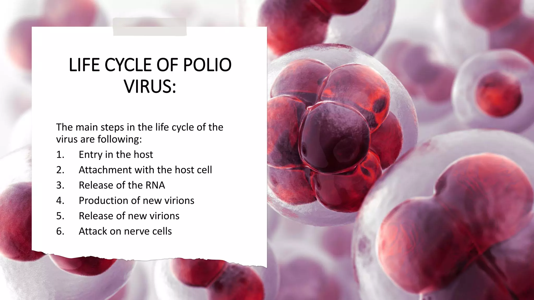 Polio disease and its prevention | PDF
