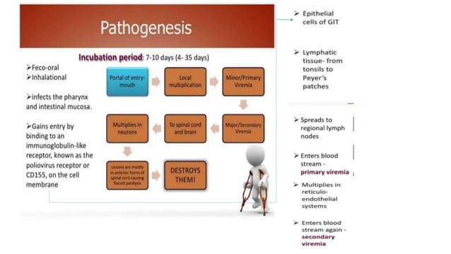 Picorna virus infection- Poliomyelitis.pptx