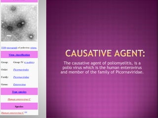 polio.pdf how poilio afffect the human body | PPT