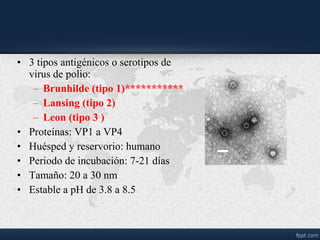 Poliomielitis aguda | PPT