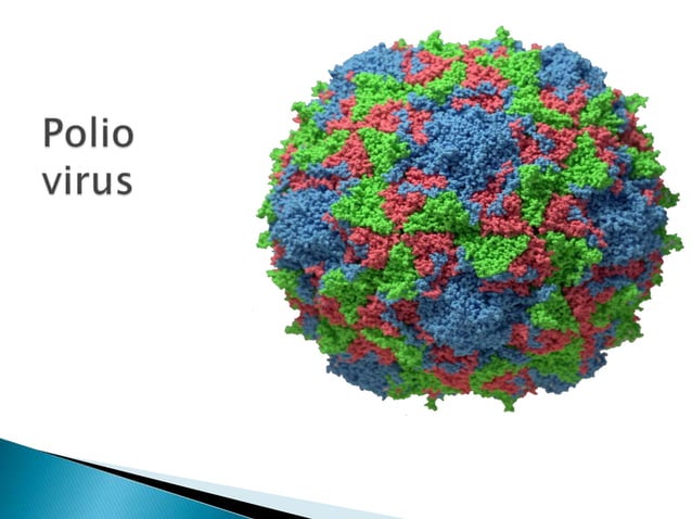Poliomyelitis | PPTX