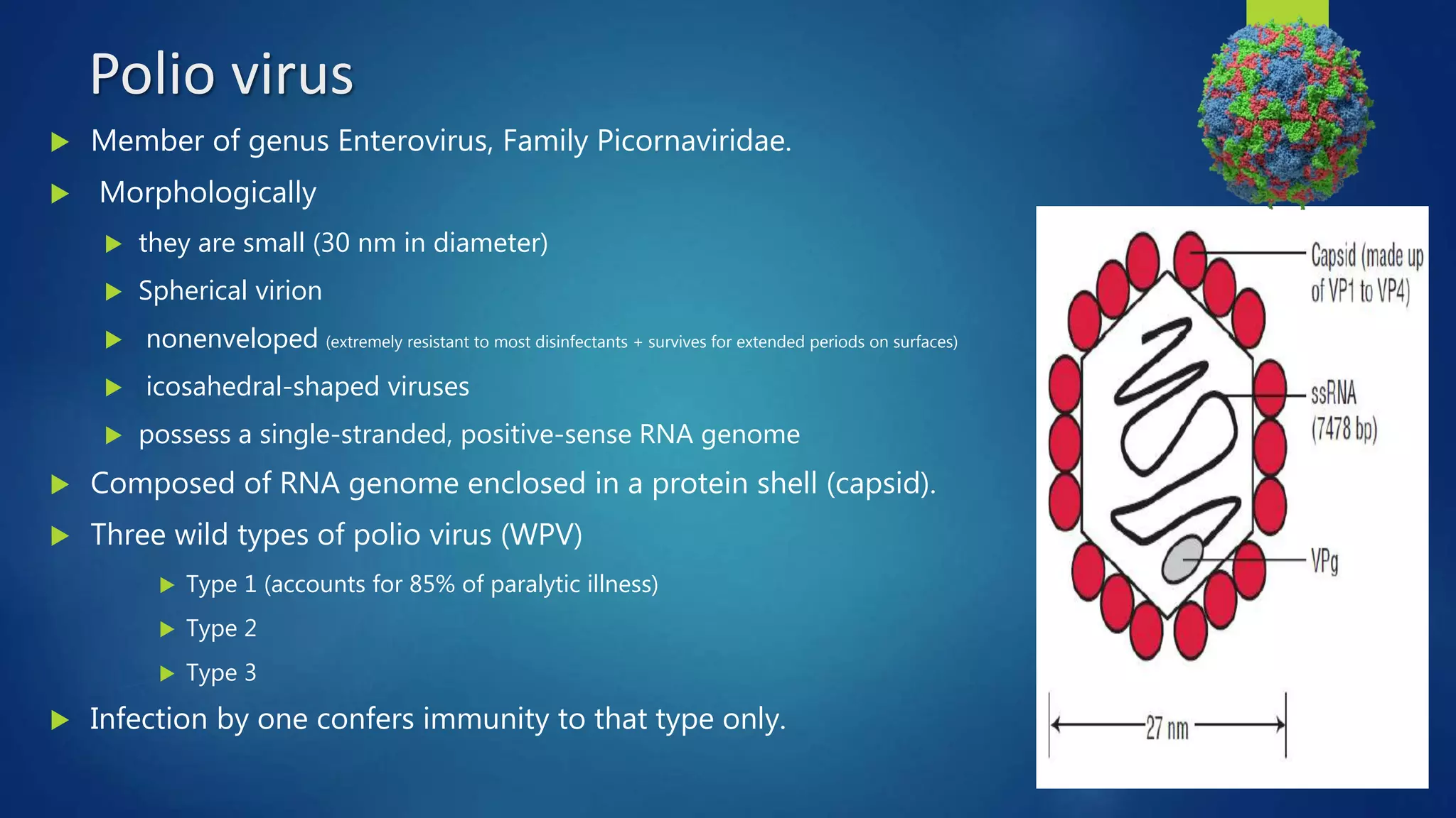 Poliomyelitis | PPT