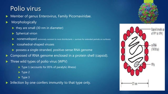 Poliomyelitis | PPT