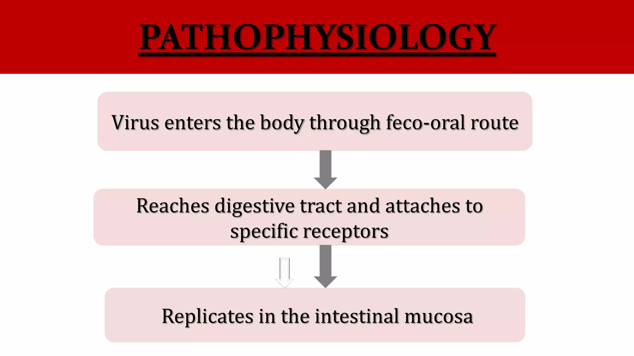 poliomyelitis-210118160100.pdf
