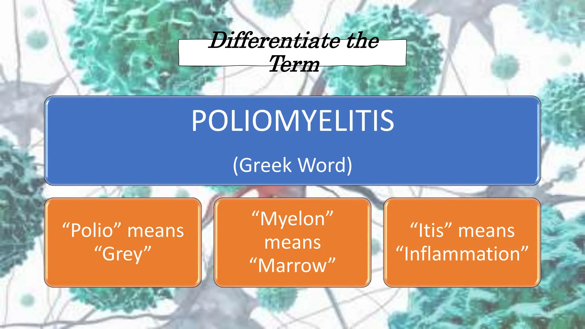 Poliomyelitis (Details with Physiotherapy management) | PPTX