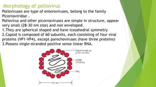 poliomyelitis microbiology.pptx