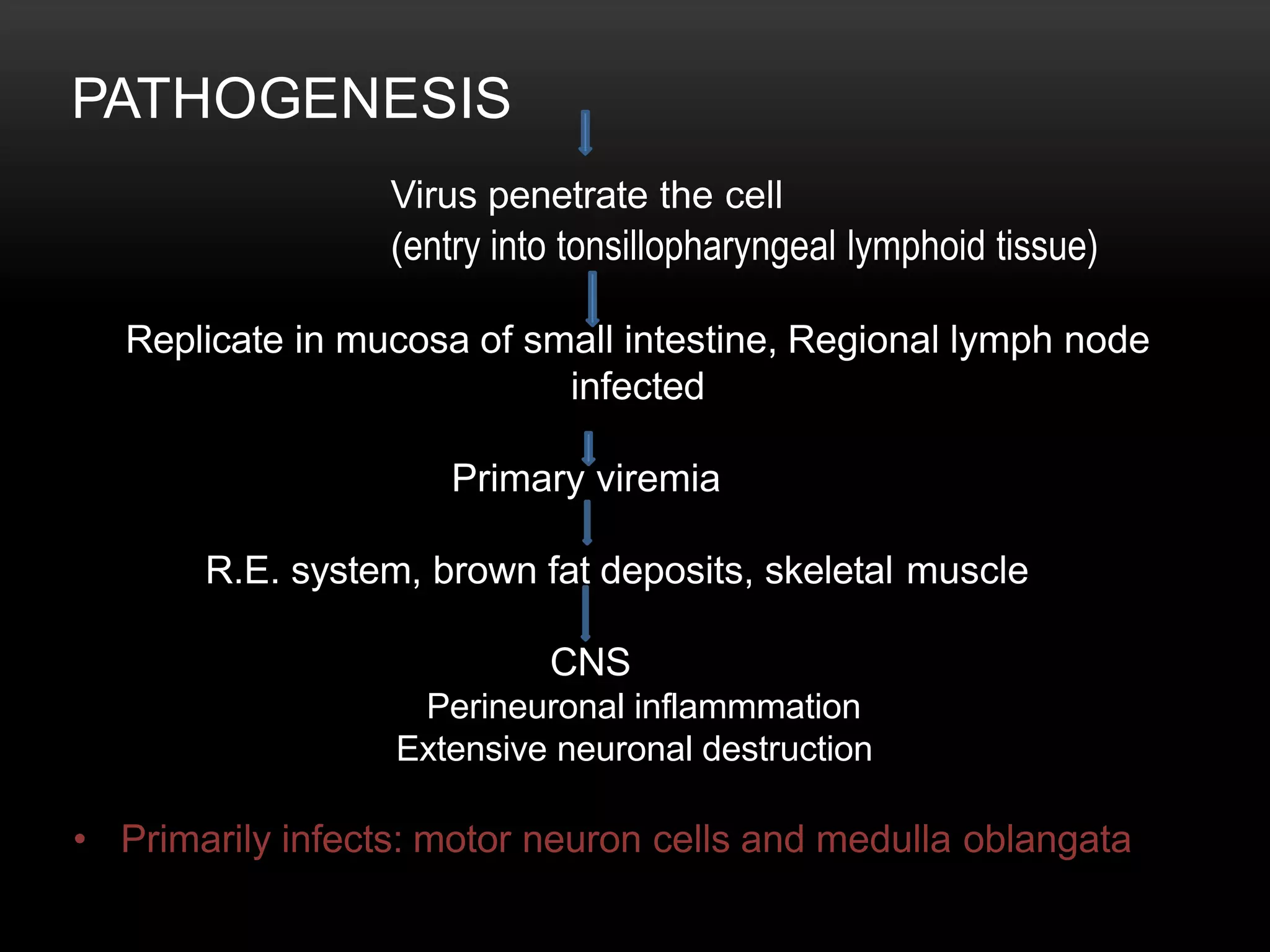 Poliomyelitis ortho pt | PPT