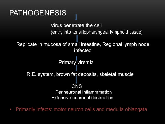 Poliomyelitis ortho pt | PPT | Brain and Nervous System Disorders ...